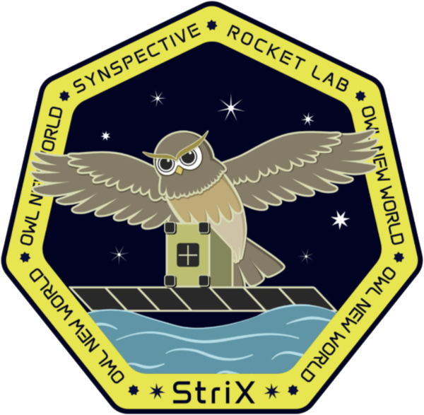 StriX (Synspective) - FutureSpaceFlight